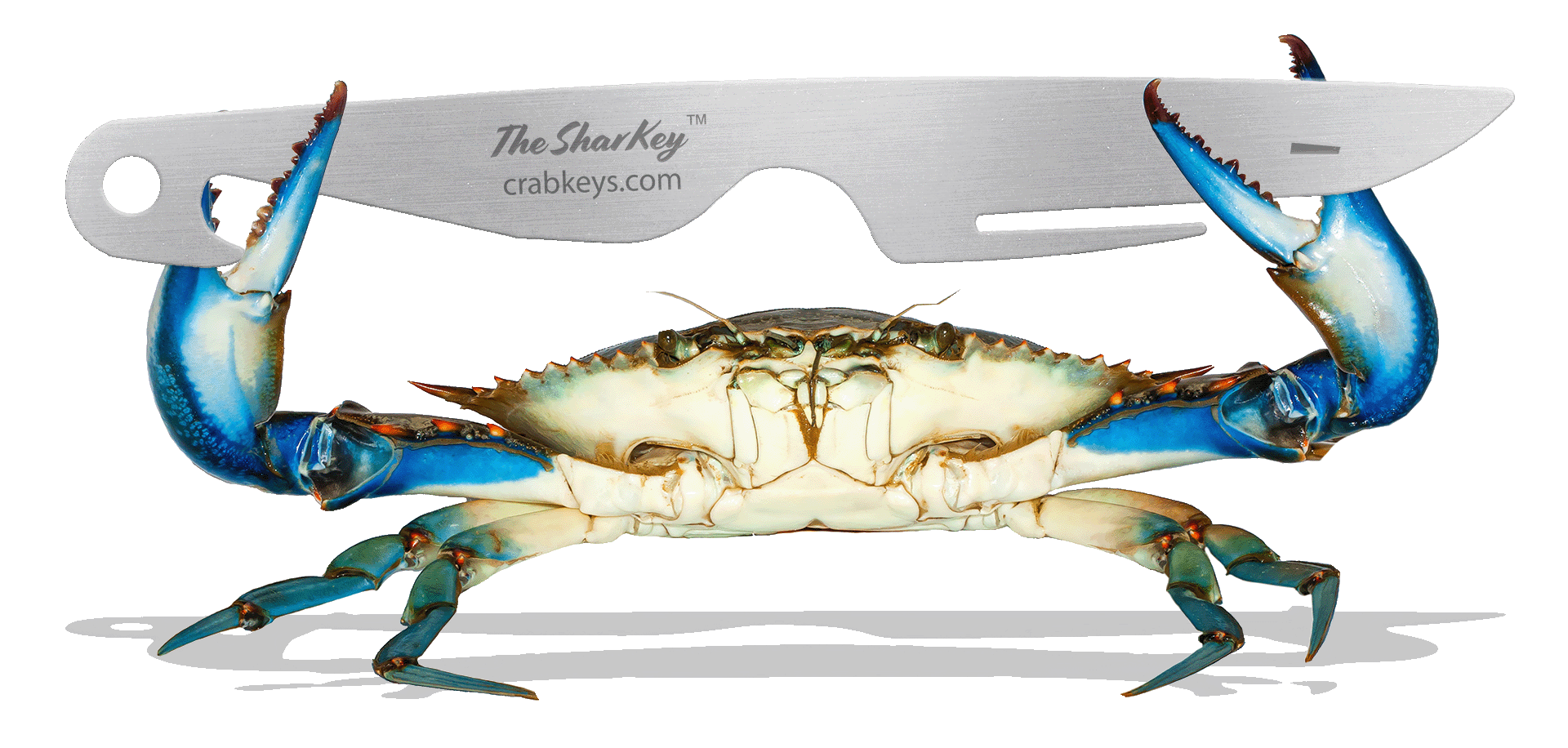 The Original Crab Keys™ | The Best Seafood and Crab Picking Tool Ever